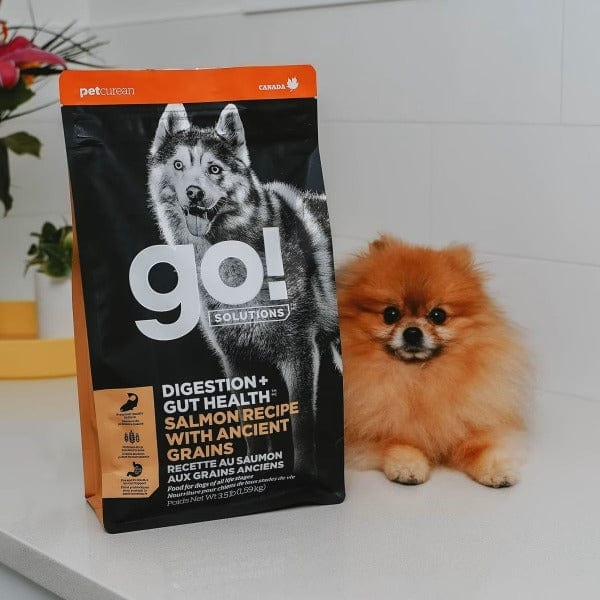 Go! Digestion + Gut Health, Salmon Recipe with Ancient Grains Dry Dog – Petland Canada