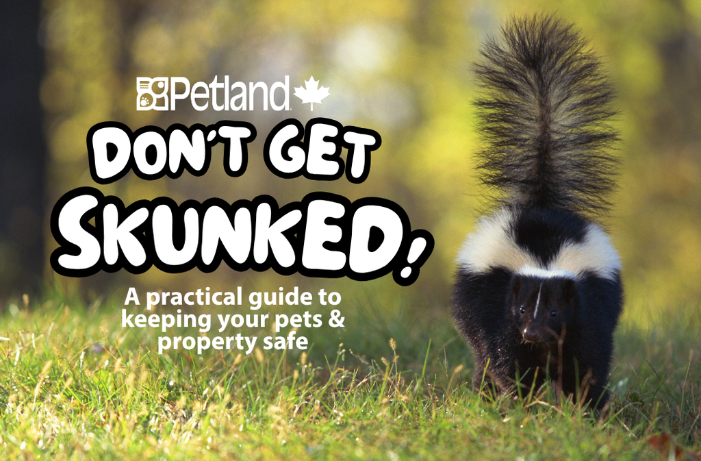 Don't Get Skunked: A Practical Guide to Keeping Your Pets and Property ...