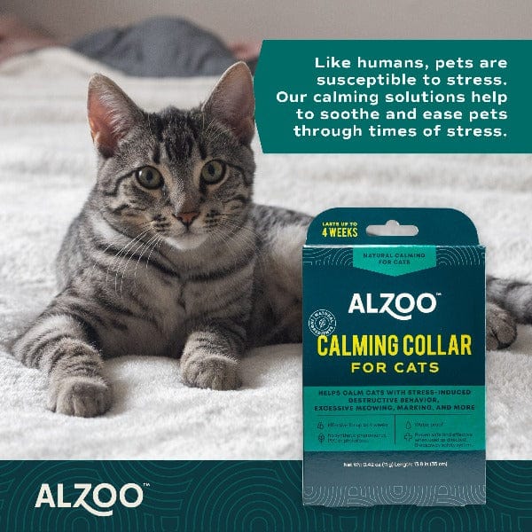 ALZOO Natural Calming Collar for Cats – Petland Canada