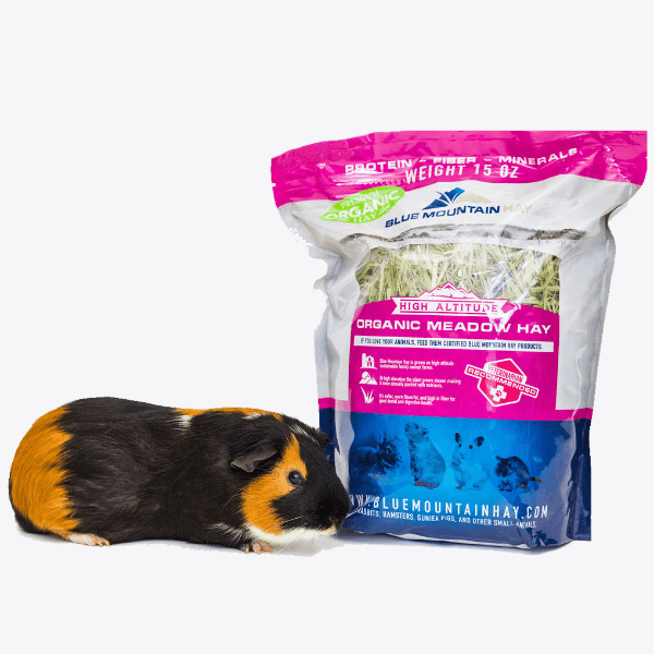 Blue Mountain Hay High-Altitude Organic Meadow Hay, 15oz – Petland Canada
