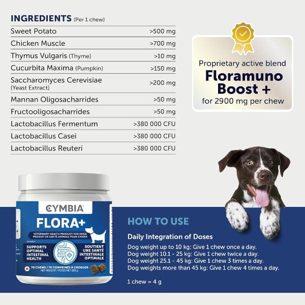 Cymbia FLORA+ Digestive Health Dog Supplement – Petland Canada