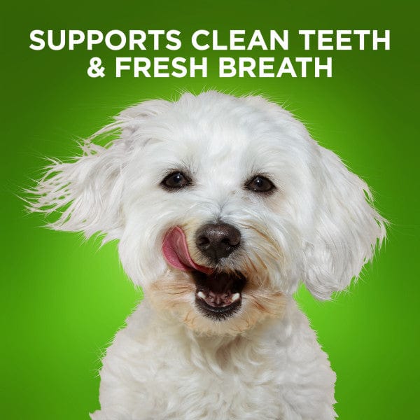 Fruitables Bioactive Fresh Mouth Dental Chews – Petland Canada