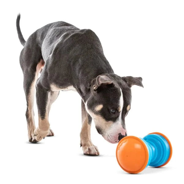 GURU Bouncer Dog Toy – Petland Canada