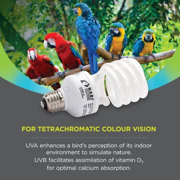 Hari Avian Light Bulb 26W/UVB 5.0/UVA 25 – Petland Canada