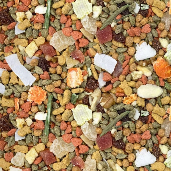 Higgins intune Harmony Conure & Cockatiel Food – Petland Canada