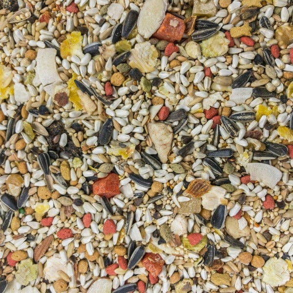 Sunburst Gourmet Blend Conure Food – Petland Canada