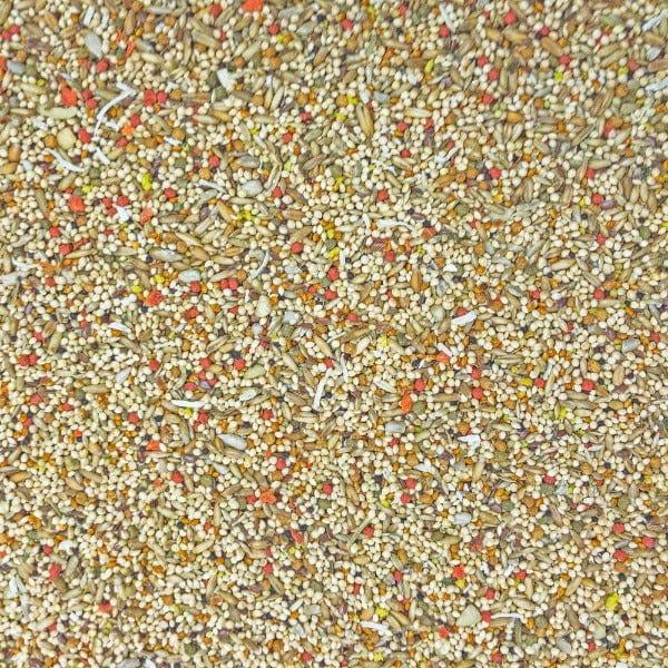 Sunburst Gourmet Blend Parakeet Food – Petland Canada