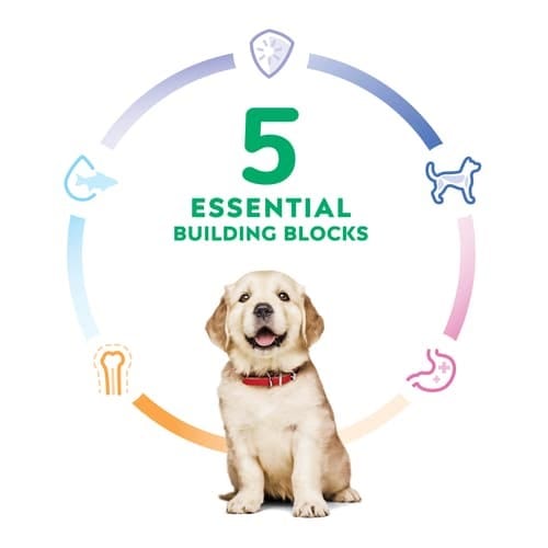 Hills Science Puppy Food Science Diet Puppy Large Breed Chicken & Brown ...