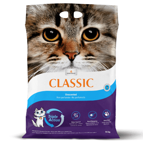 Intersand Classic Clumping Cat Litter – Petland Canada