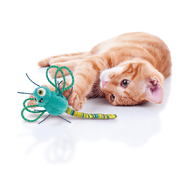 KONG Flingaroo Dragonfly Cat Toy – Petland Canada
