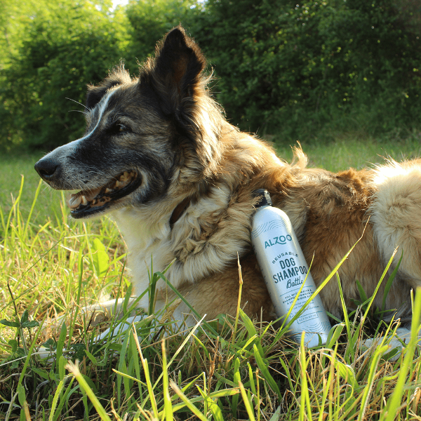 ALZOO Concentrated Shampoo Powder Kit for Dogs – Petland Canada