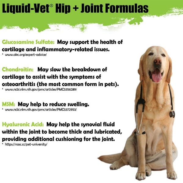 Liquid-Vet Hip & Joint Pot Roast Flavour Advanced Formula for Dogs 2 P ...