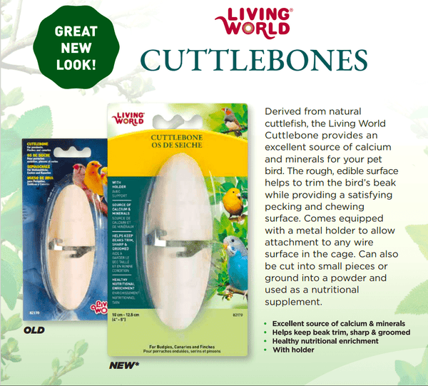 Living World Cuttlebone with Holder for Birds – Petland Canada