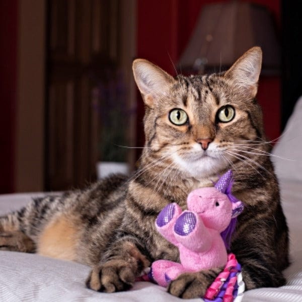 Multipet Unicorn Assorted Cat Toy – Petland Canada