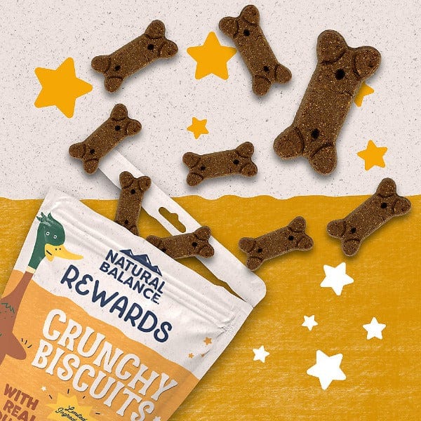 Natural Balance Crunchy Biscuits With Real Duck Recipe, 14oz – Petland ...
