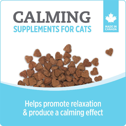 Nutrience Care+ Calming Cat Supplement – Petland Canada
