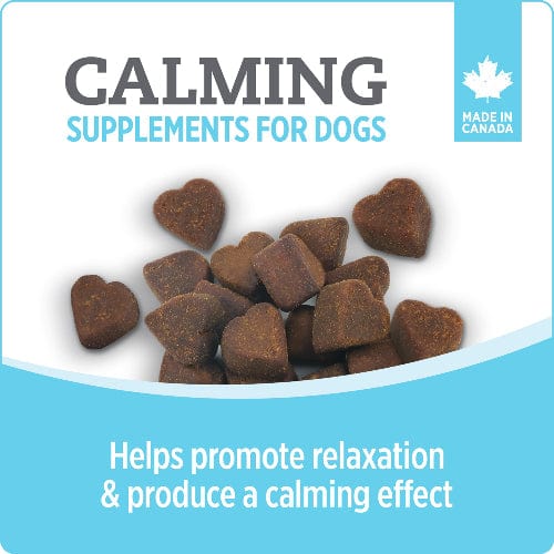 Nutrience Care+ Calming Dog Supplement – Petland Canada