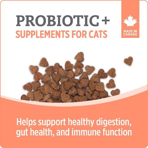 Nutrience Care+ Probiotic Cat Supplement – Petland Canada
