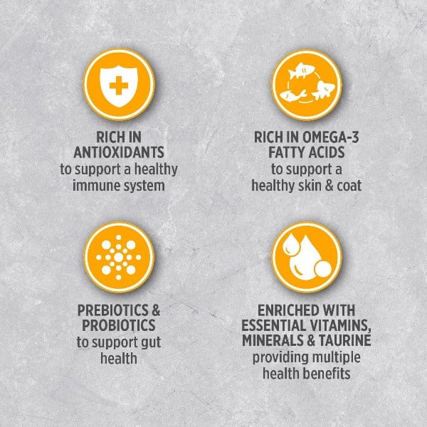 Nutrience Infusion Healthy Adult Chicken Recipe Dry Cat Food, 2.27kg ...