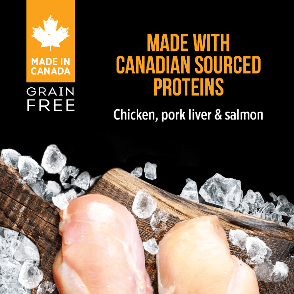 Nutrience SubZero Fraser Valley Pate Canned Dog Food – Petland Canada