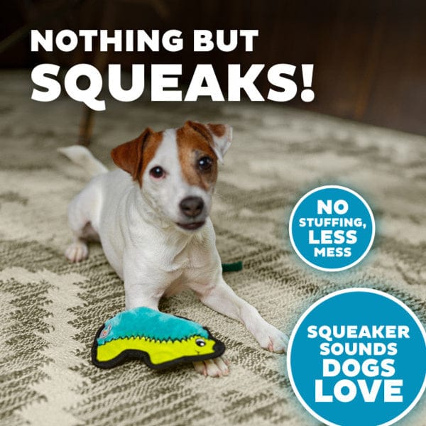 Outward Hound Mini Durablez Plush Dog Toys – Petland Canada