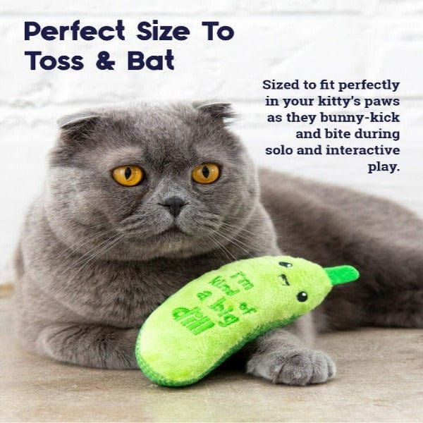 Petstages Crunchy Pickle Cat Toy – Petland Canada