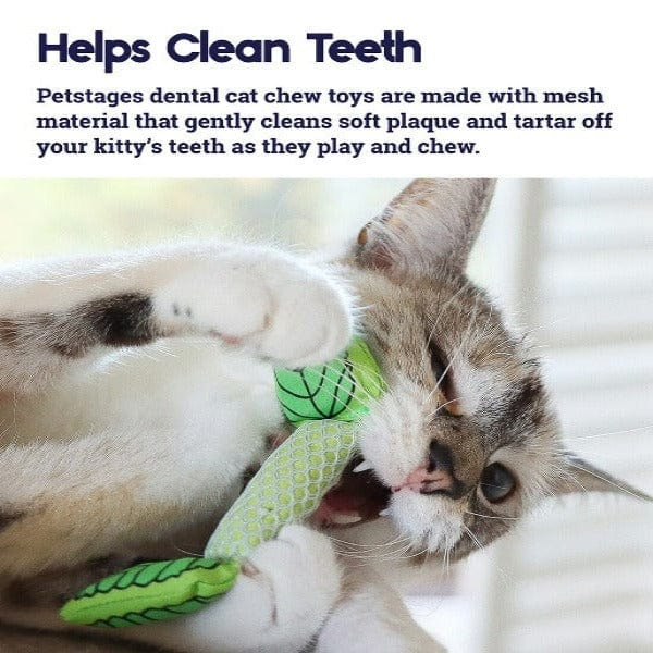 Petstages Fresh Breath Mint Stick Cat Toy – Petland Canada