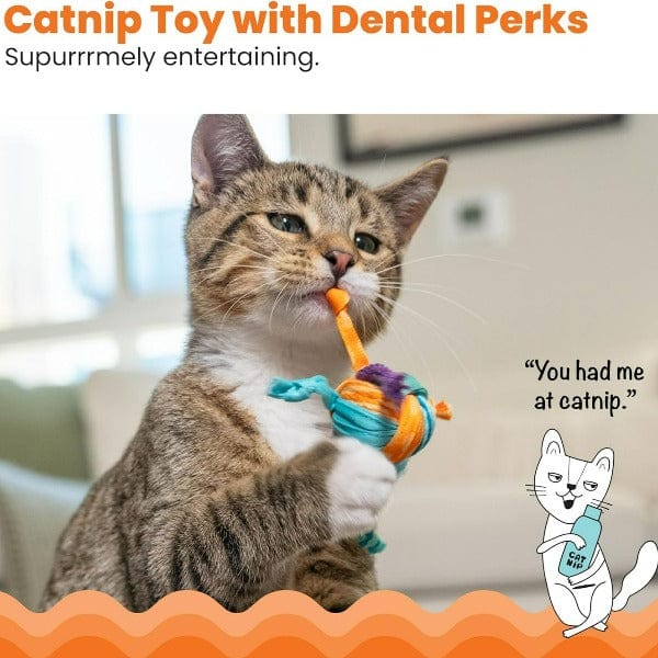 Petstages Tons of Tails Cat Toy – Petland Canada