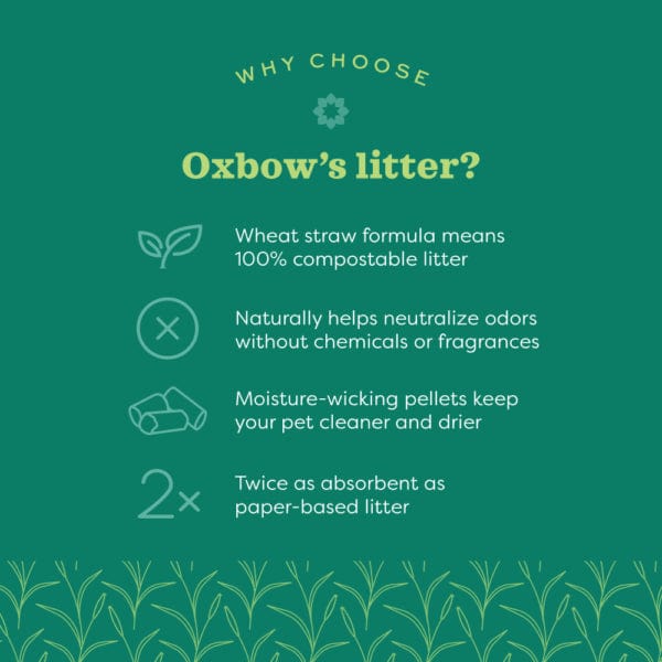 Oxbow Eco-Straw Litter – Petland Canada