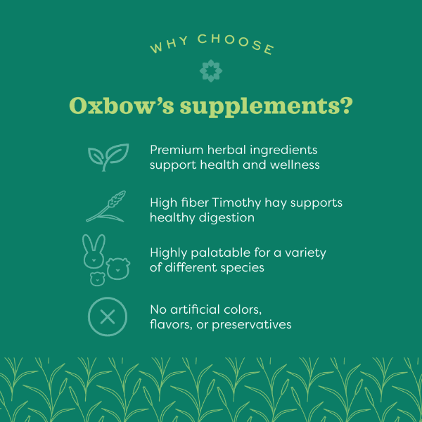 Oxbow Natural Science Vitamin C Supplement – Petland Canada