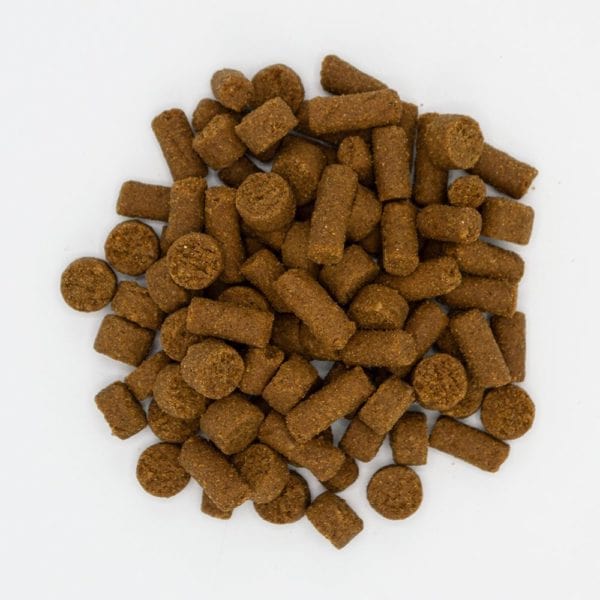 Oxbow Real Prey Rewards Turkey Ferret Treats – Petland Canada