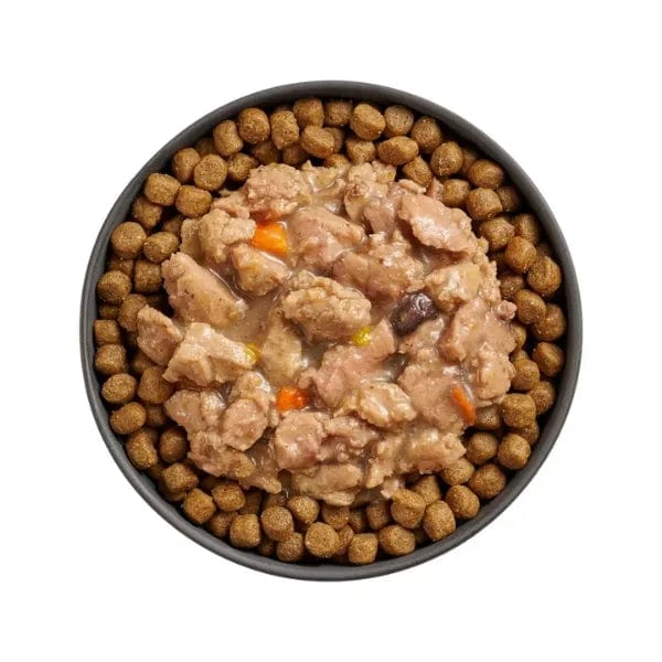 Go! Solutions Booster Immune Health Minced Chicken + Salmon with Gravy ...