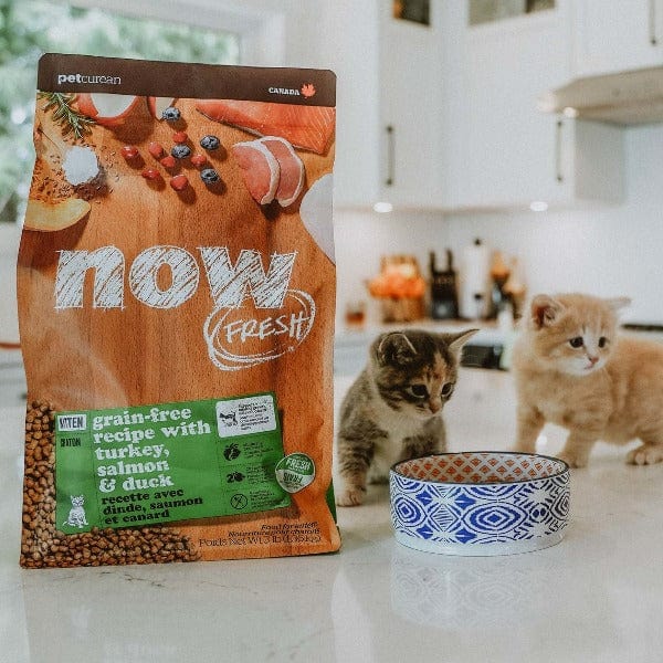 Now Fresh Turkey, Salmon & Duck Recipe Dry Kitten Food, 8lb – Petland ...