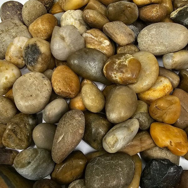 Fish Gear Natural Aquarium Gravel – Petland Canada