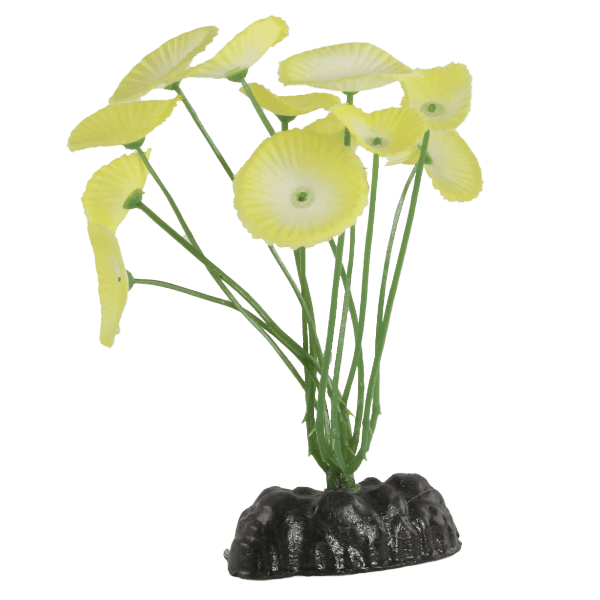 Fish Gear White Buttercup Lily Silk Betta Plant (4") – Petland Canada