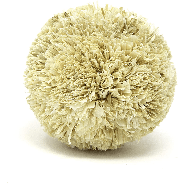 Moss Hollow Play Pom – Petland Canada
