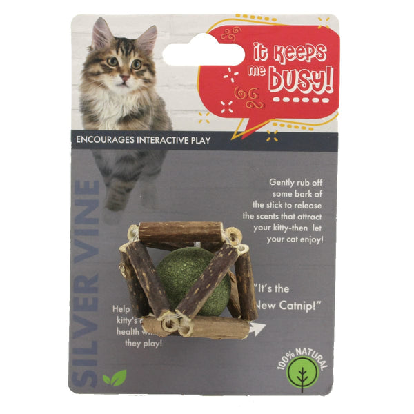 Silvervine Octahedron Ball Cat Toy – Petland Canada