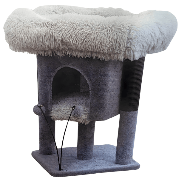 PetPals Earl Cat Tree – Petland Canada