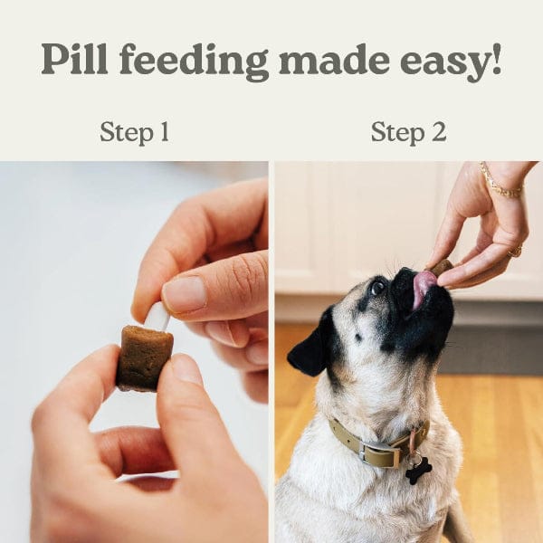 Pill Buddy Naturals Pill Hiding Treat for Dogs; Peanut Butter & Apple ...