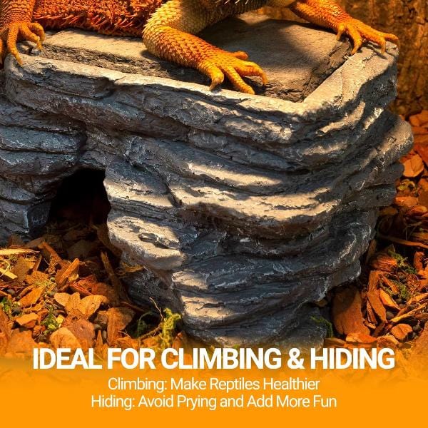 Reptizoo Corner Hide Cave with Slate Stone – Petland Canada