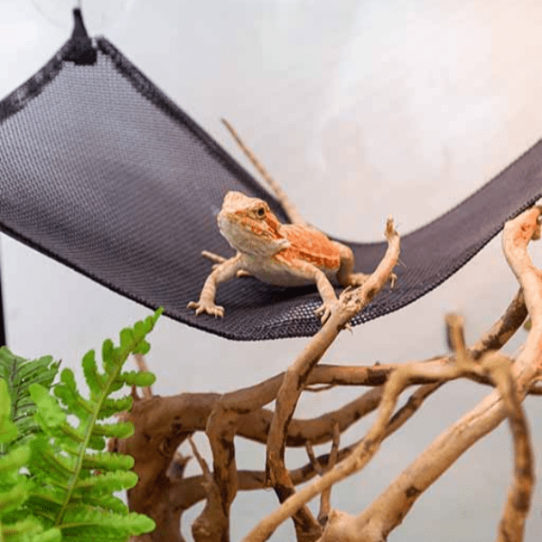 Reptizoo Nylon Reptile Hammock – Petland Canada