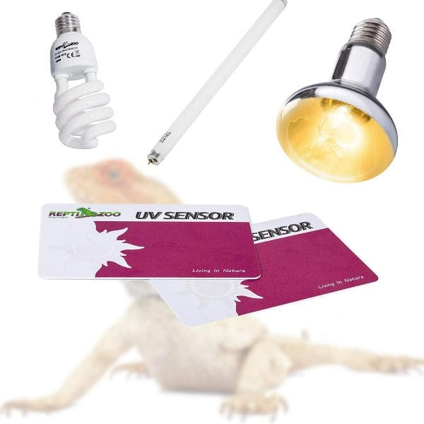 Reptizoo UV Sensor Tester Card – Petland Canada