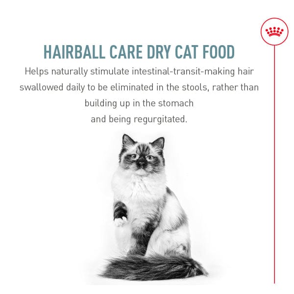Royal Canin Hairball Care Dry Cat Food – Petland Canada