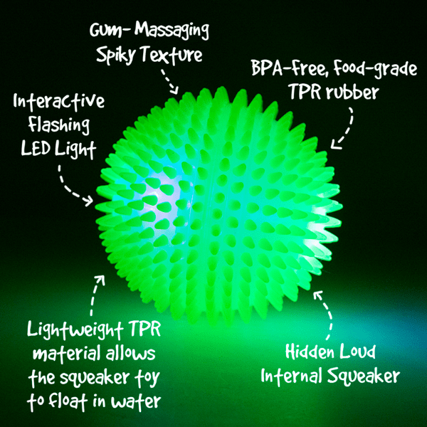 Gnawsome Extra Large Squeak & Light Ball – Petland Canada