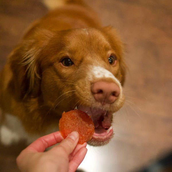 Silver Spur Chicken Chips – Petland Canada