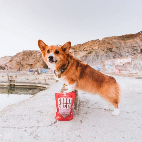 Stella & Chewy's Crav'n Bac'n Bites Soft Dog Treats; Bacon & Pork ...