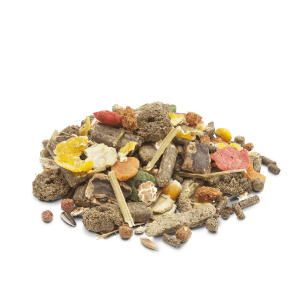 Versele-Laga Crispy Muesli Food for Rabbits – Petland Canada