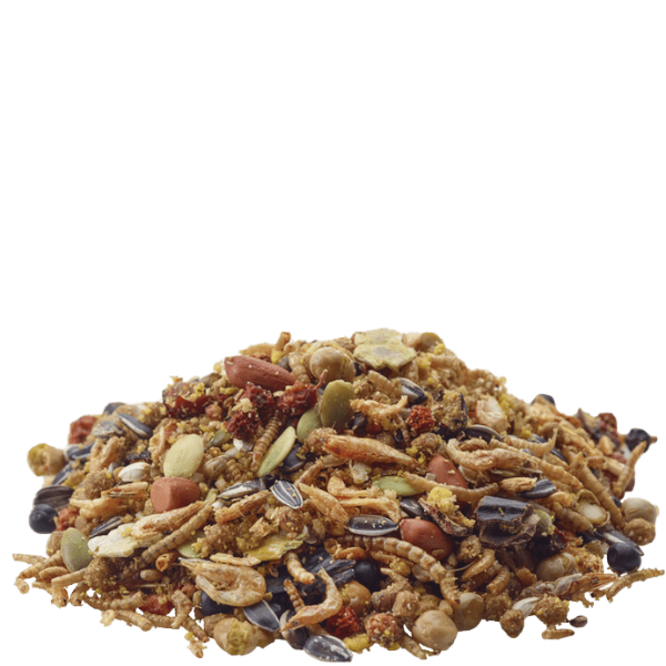 Versele-Laga Nature Snack Proteins Treats – Petland Canada