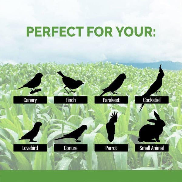 Sunseed Natural Corn Cob Bedding – Petland Canada