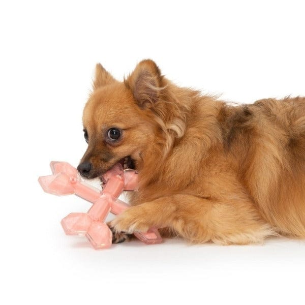Zeus Duo Cross Bones – Petland Canada